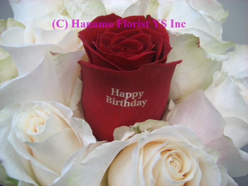 ROSE222 Birthday Roses Bouquet Long Ecuadorian 1 Red & 11 White ...